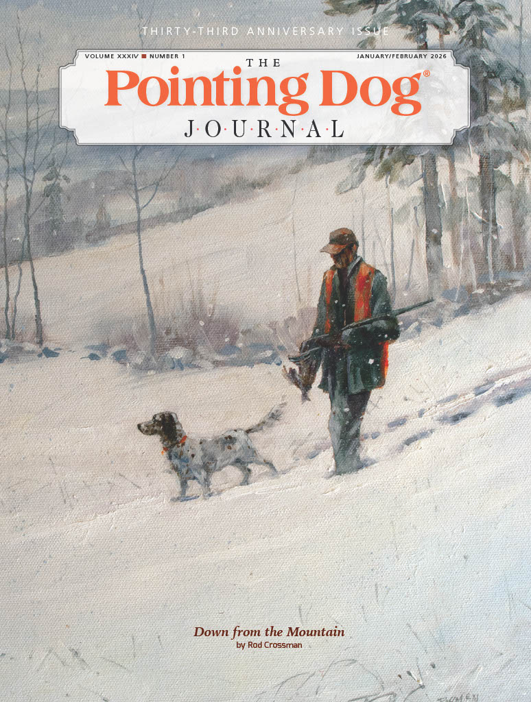 Home - The Pointing Dog Journal